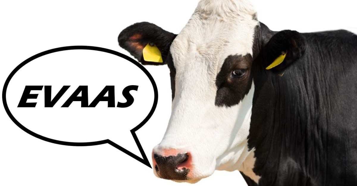 NC DPI official admits EVAAS stacks the deck against recognizing growth ...